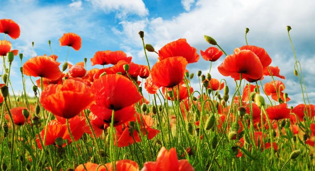 Ο κεφαλονίτικος Απρίλης – PortoniNews
